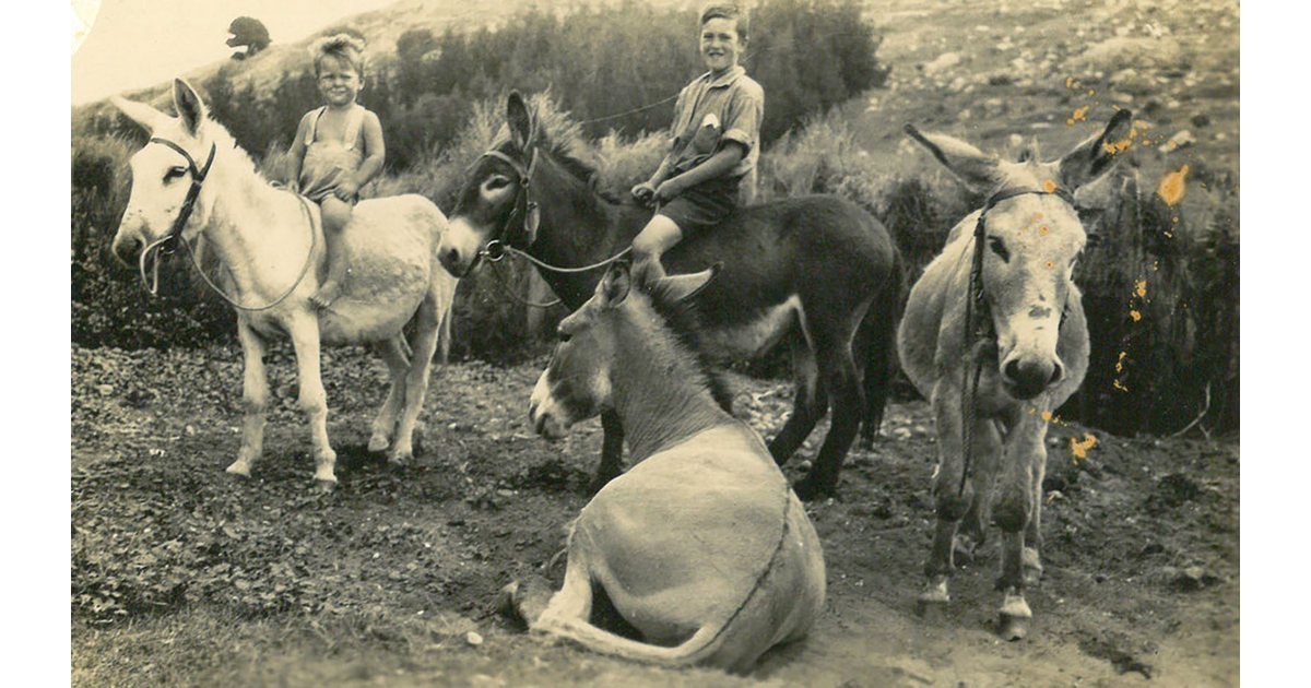 Auckland / Photography - Historical | MAD on New Zealand
