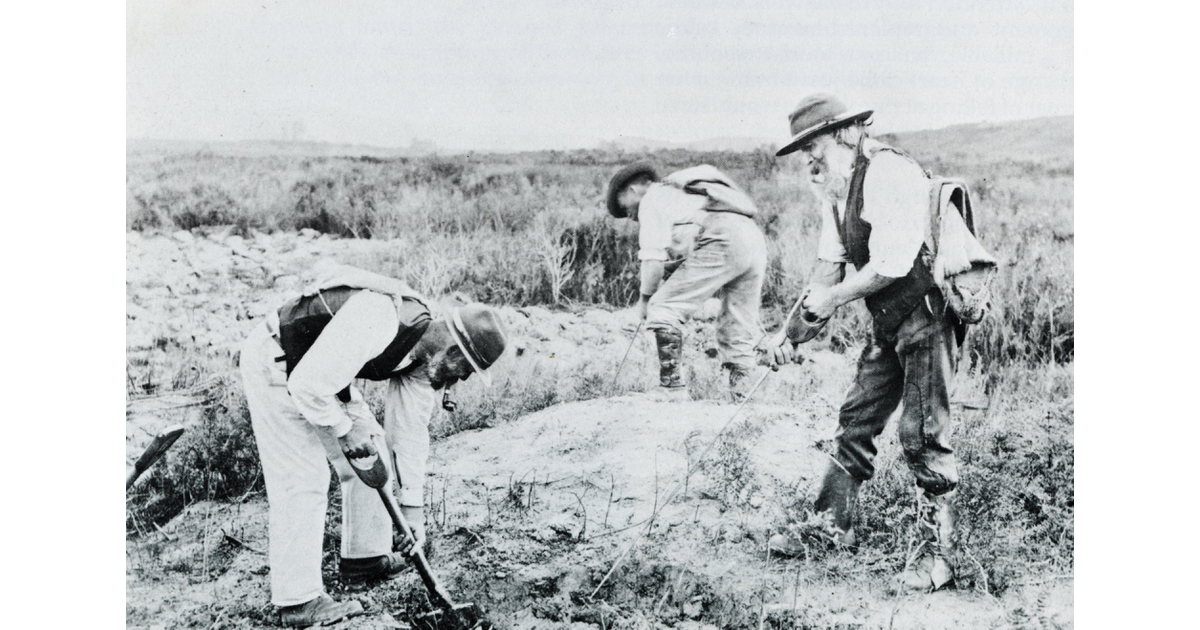 Kauri Gum Industry / Photography - Historical | MAD on New Zealand
