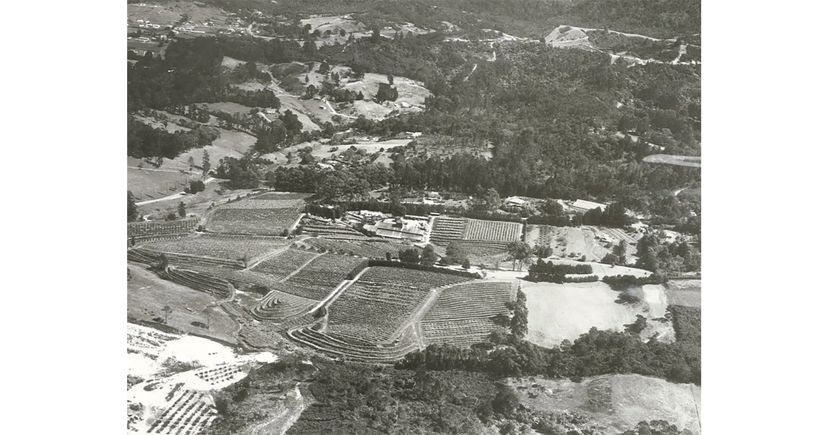 Historical - Photos / Photography - Historical | MAD on New Zealand