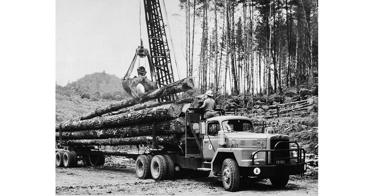 Timber Industry / Photography - Historical | MAD on New Zealand