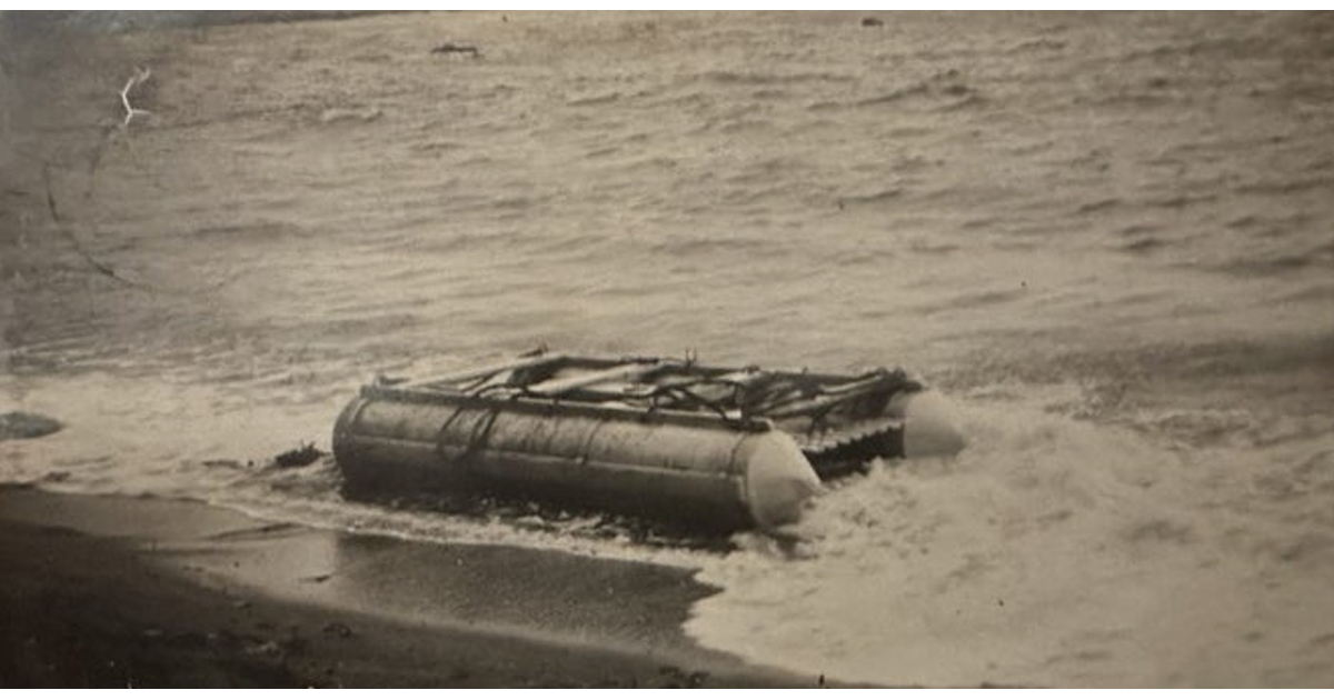 Ship / Photography - Historical | MAD on New Zealand