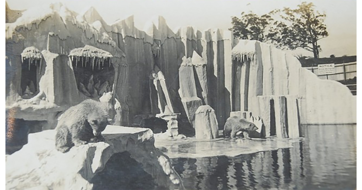 Auckland / Photography - Historical | MAD on New Zealand