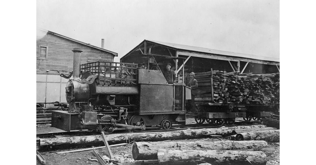 Timber Industry / Photography - Historical | MAD on New Zealand