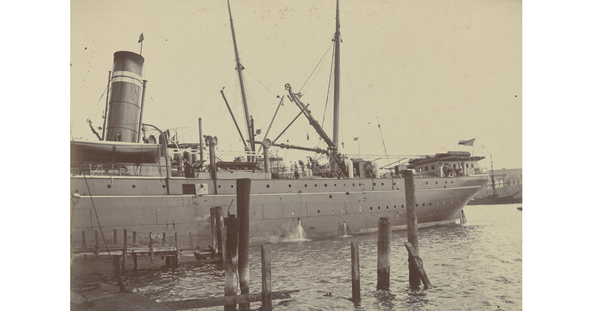 New South Wales / Photography - Historical | MAD on New Zealand