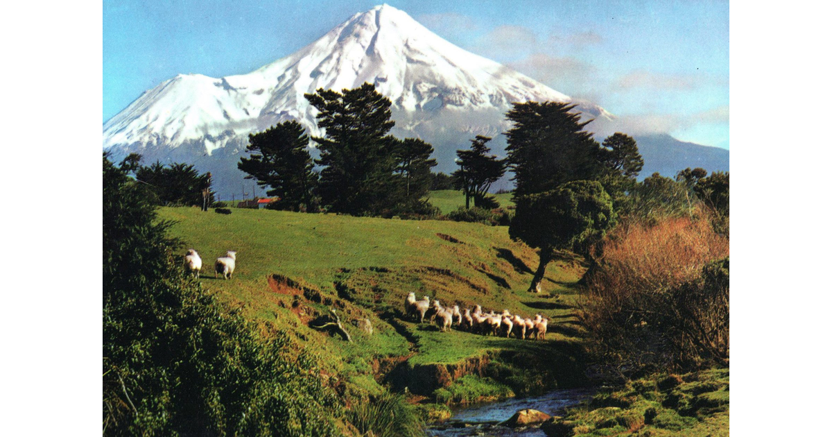 Taranaki Photography Historical Mad On New Zealand