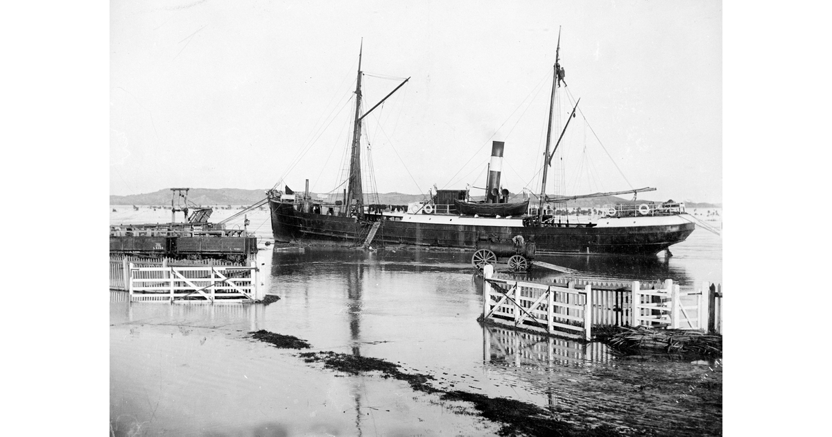 Ship / Photography - Historical | MAD on New Zealand