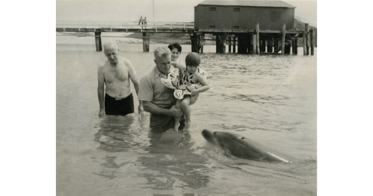 Historical - Photos / Photography - Historical | MAD on New Zealand