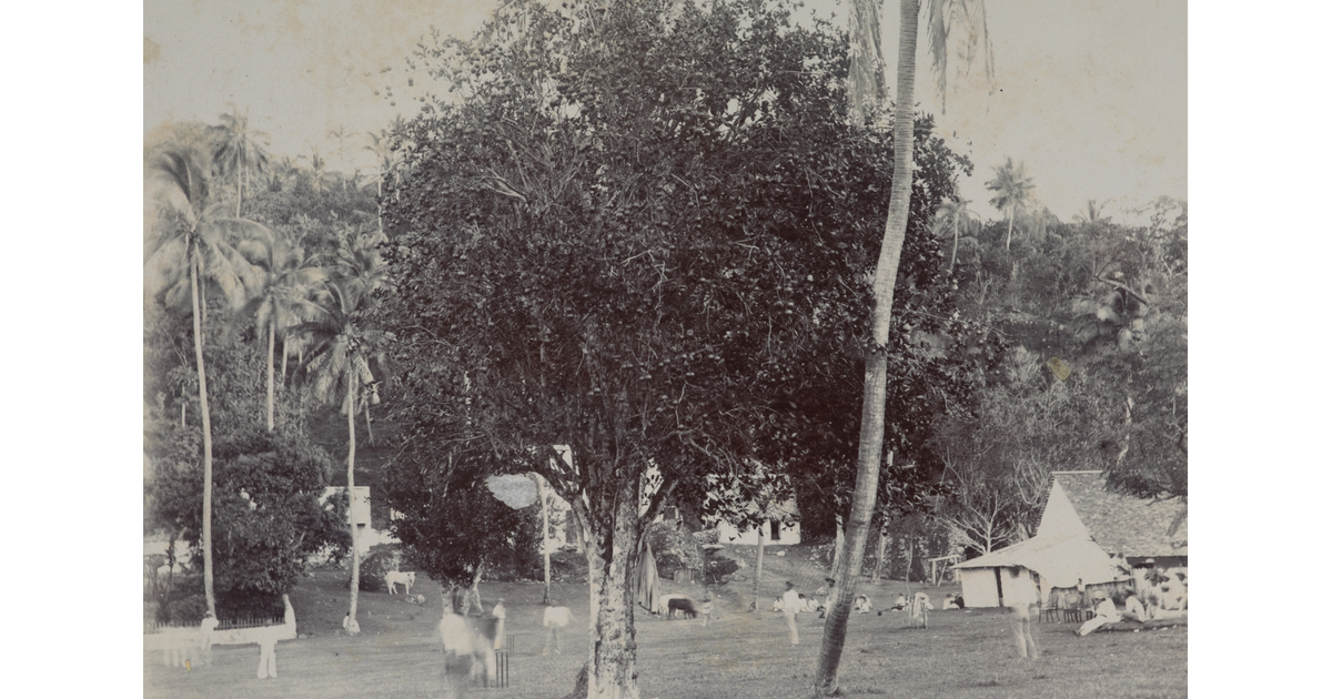 Cook Islands / Photography - Historical | MAD on New Zealand