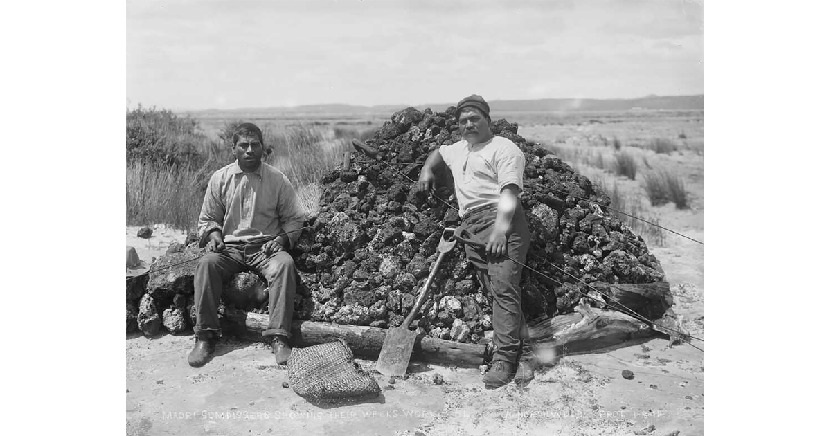 Kauri Gum Industry / Photography - Historical | MAD on New Zealand