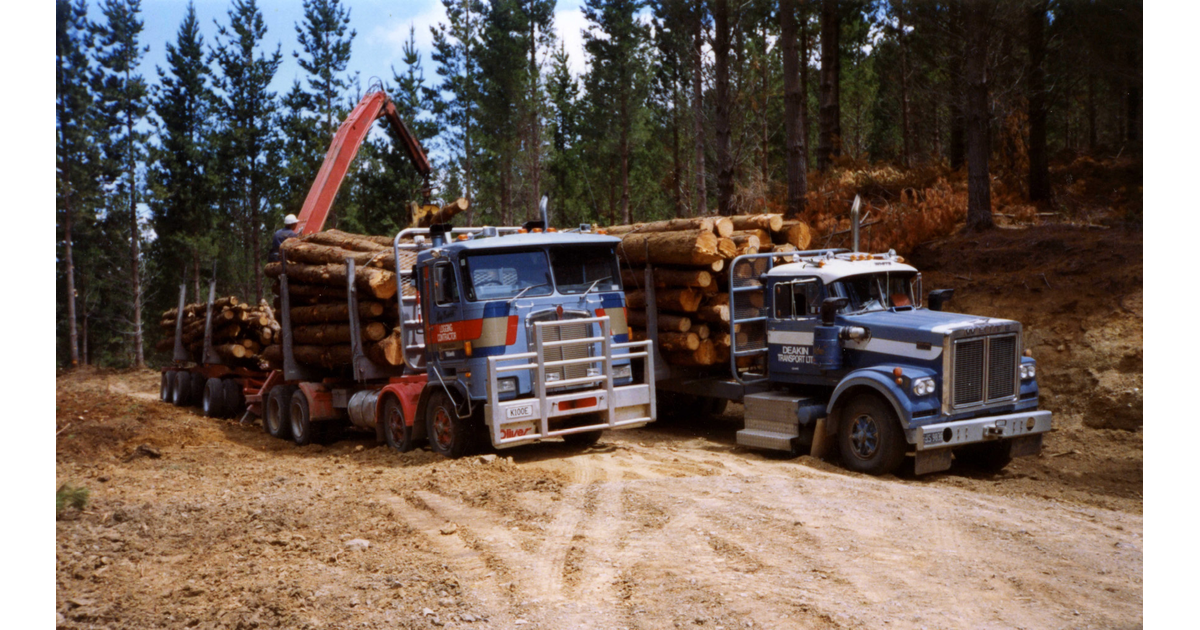 Timber Industry / Photography - Historical | MAD on New Zealand