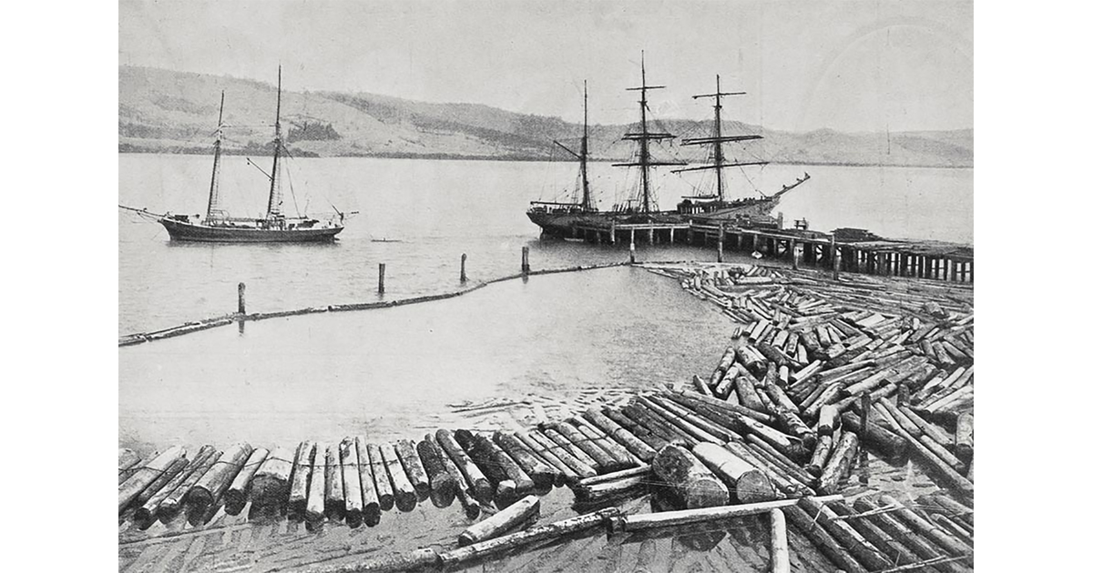 Timber Industry / Photography - Historical | MAD on New Zealand