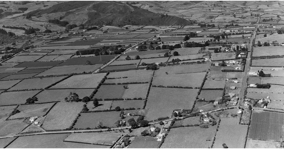 Historical - Photos / Photography - Historical | MAD on New Zealand