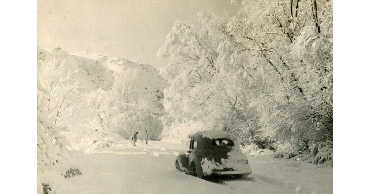 Canterbury / Photography - Historical | MAD on New Zealand