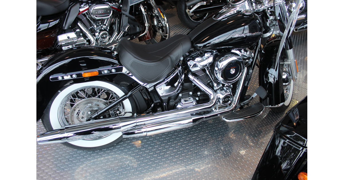 Motorcycle - Photography / Motorcycles - Photos - Auckland Harley ...