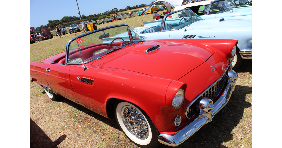 Event - Photo / Cars - Photos - Ellerslie Car Show | MAD on New Zealand
