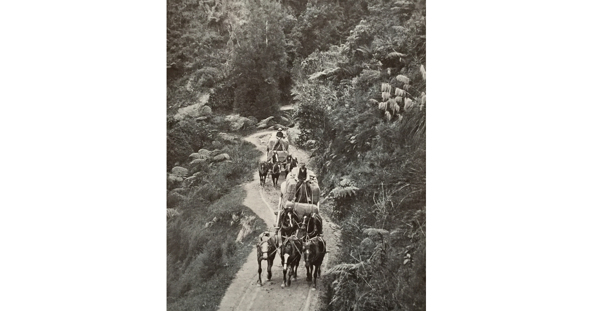 New Zealand - Ephemera / Photography - Historical | MAD on New Zealand