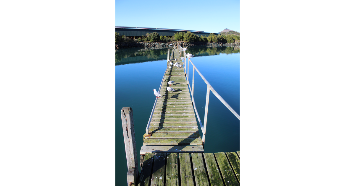 Seen Around Otago / Photography | MAD on New Zealand