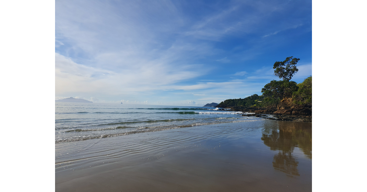 Seen Around Northland / Waipu Cove - Beach | MAD on New Zealand